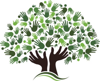 Formation CACES mini pelle R482 Cat. A - CNFCE