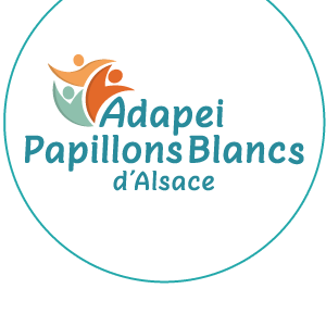Formation Accueil des personnes en situation de handicap en ERP